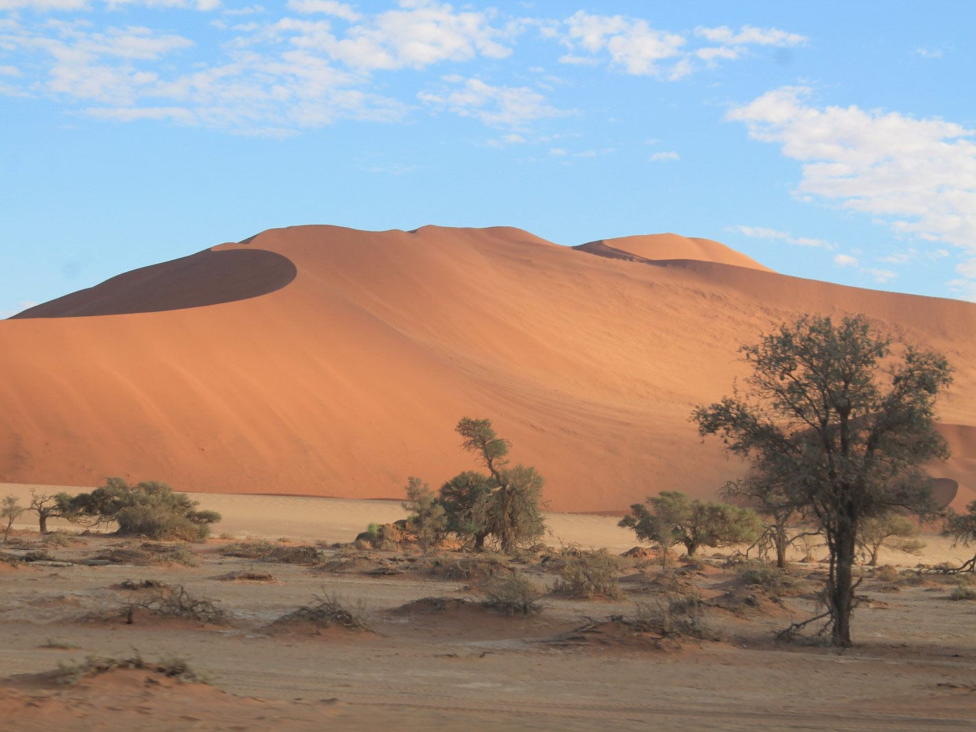 Namibia Highlight: Die rote Wüstenlandschaft Sossusvlei - Nordkap nach ...