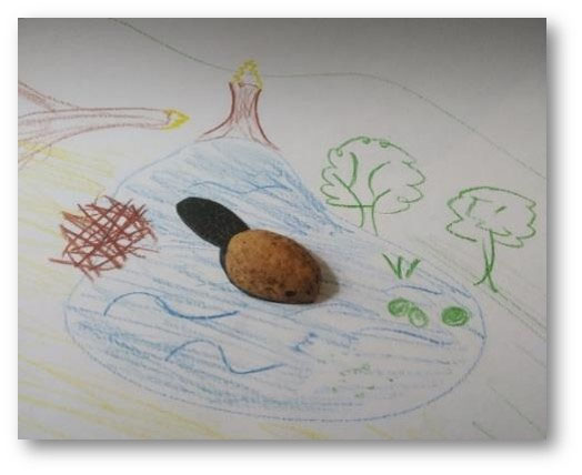 Wir basteln einen Biber - Moin Biber - Loki Schmidt Stiftung