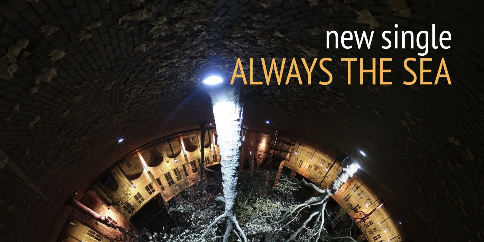 Single Release & Pre-Order Album - Douwe Eisenga