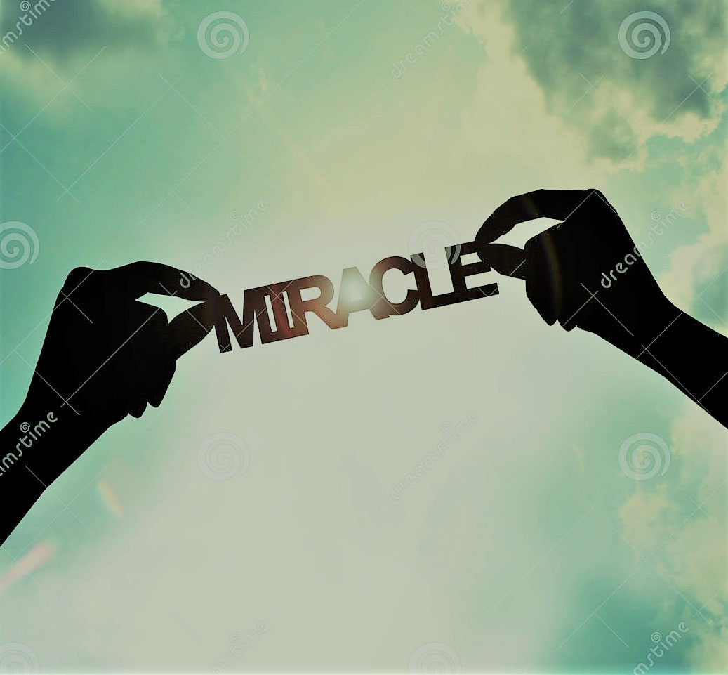 A Chance Encounter - Michael Holley