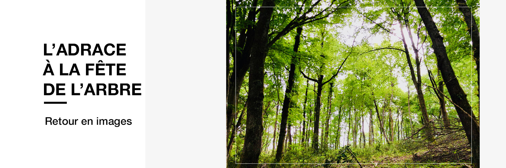 Fête de l'arbre - retour en images - Site de adrace