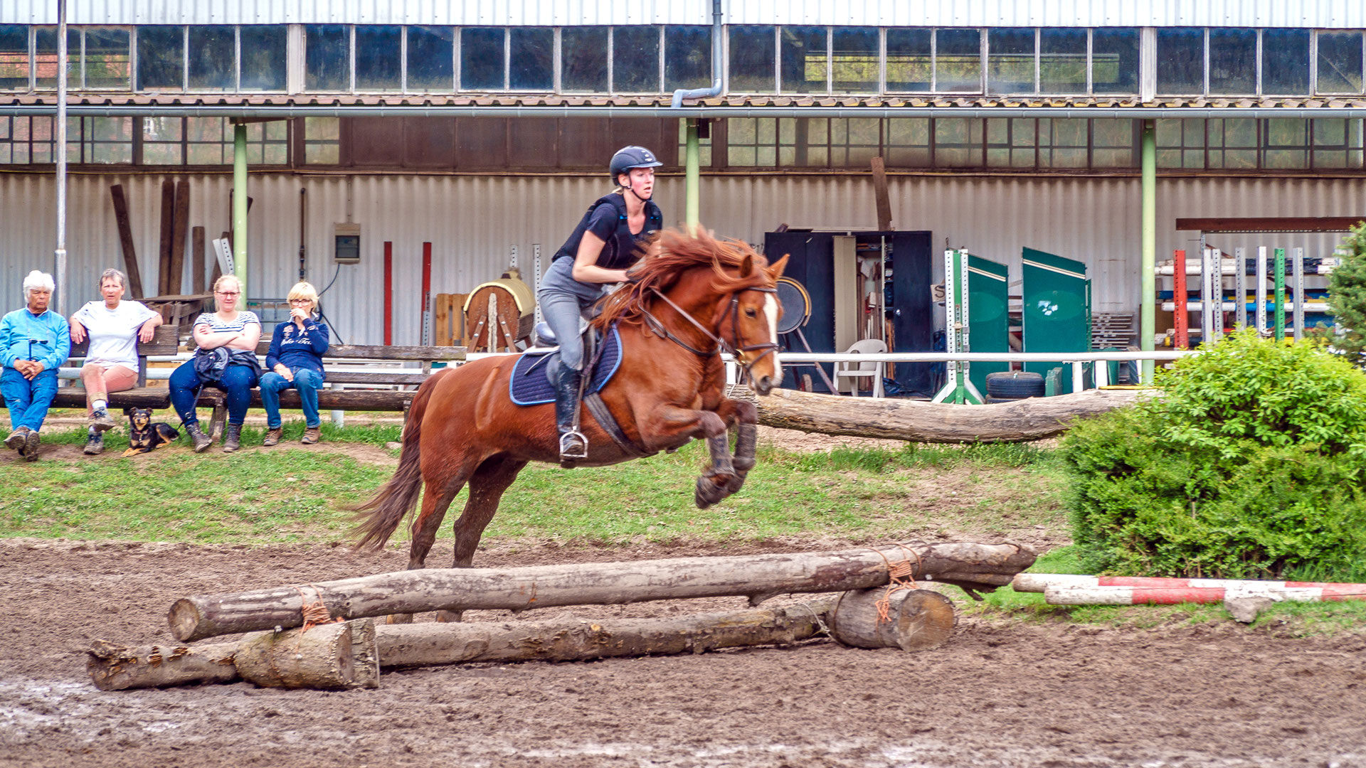 Neue Kurs-Reihe: Springreiten - RSG Eddersheim a.M. g.V. - Pferdesport ...