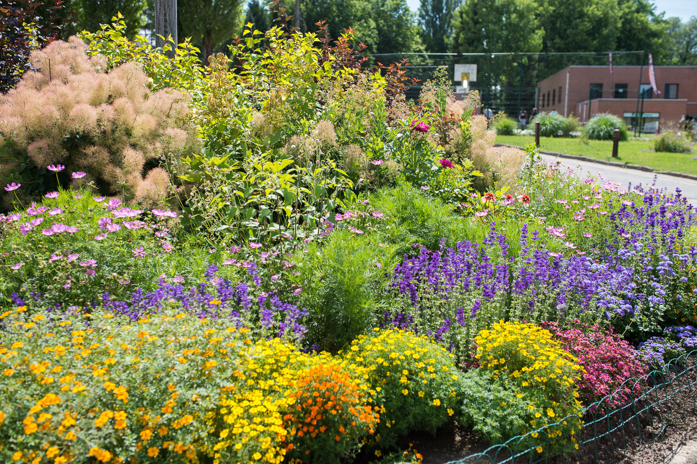 Réaliser un plan de fleurissement - Wallonie en Fleurs
