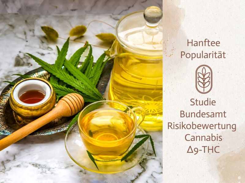 Hanftee: Fakten zum Δ9-THC Übertragung und potenzielle High-Effekte ...