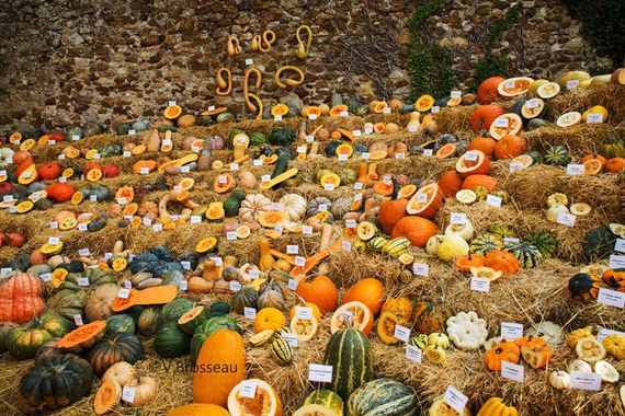 Les Hortomnales 2018 - bonobonheur