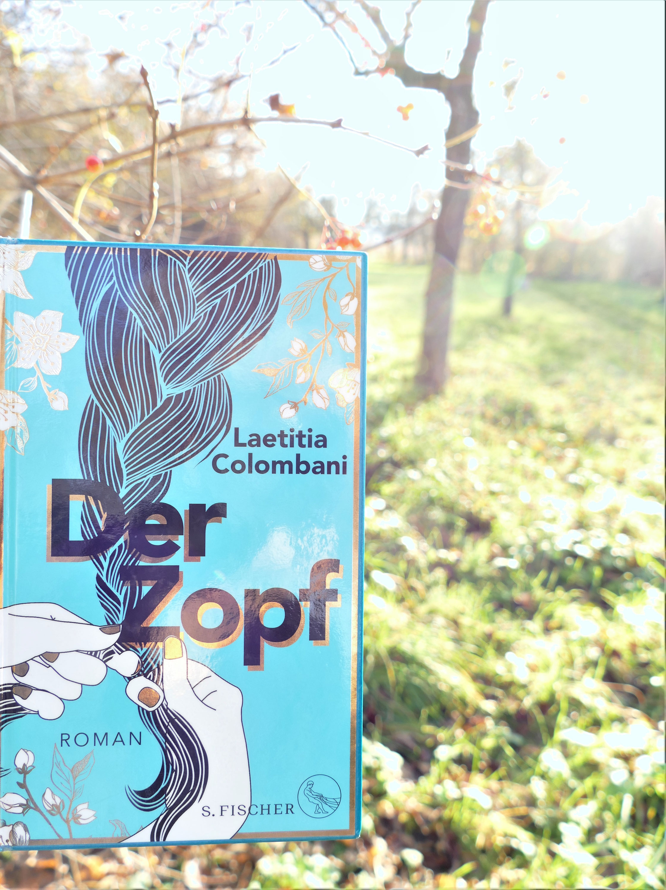 Laetitia Colombani "Der Zopf" - Die Bücher- und Lesewelt der ...