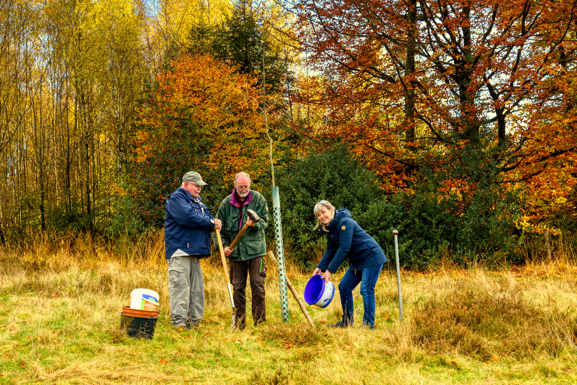 Baum Challenge 2025 - NABU Oberberg