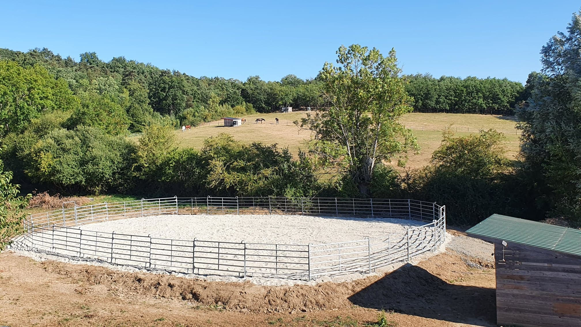 Un sol pour notre rond de longe - Association Les Crins de Liberté