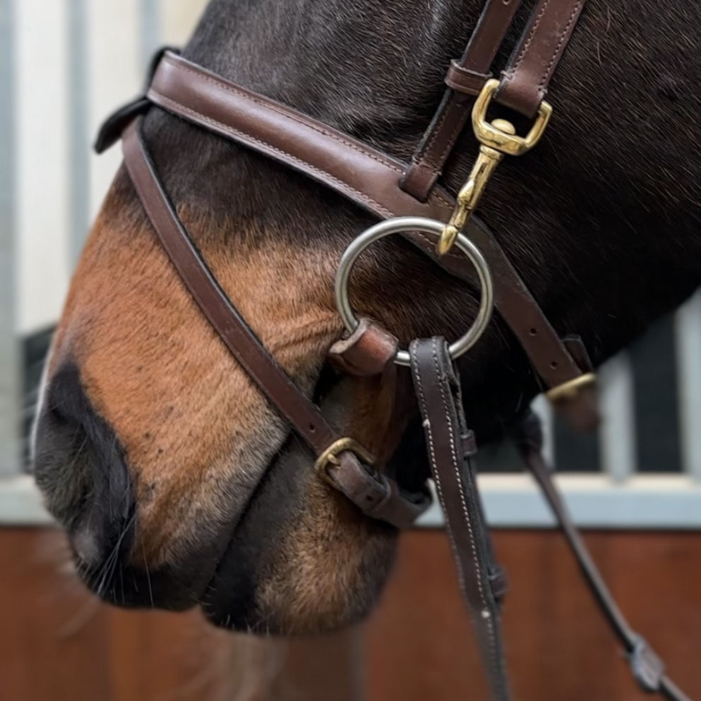 Why I use a leather bit for this young horse - Wendy Scholten Horses