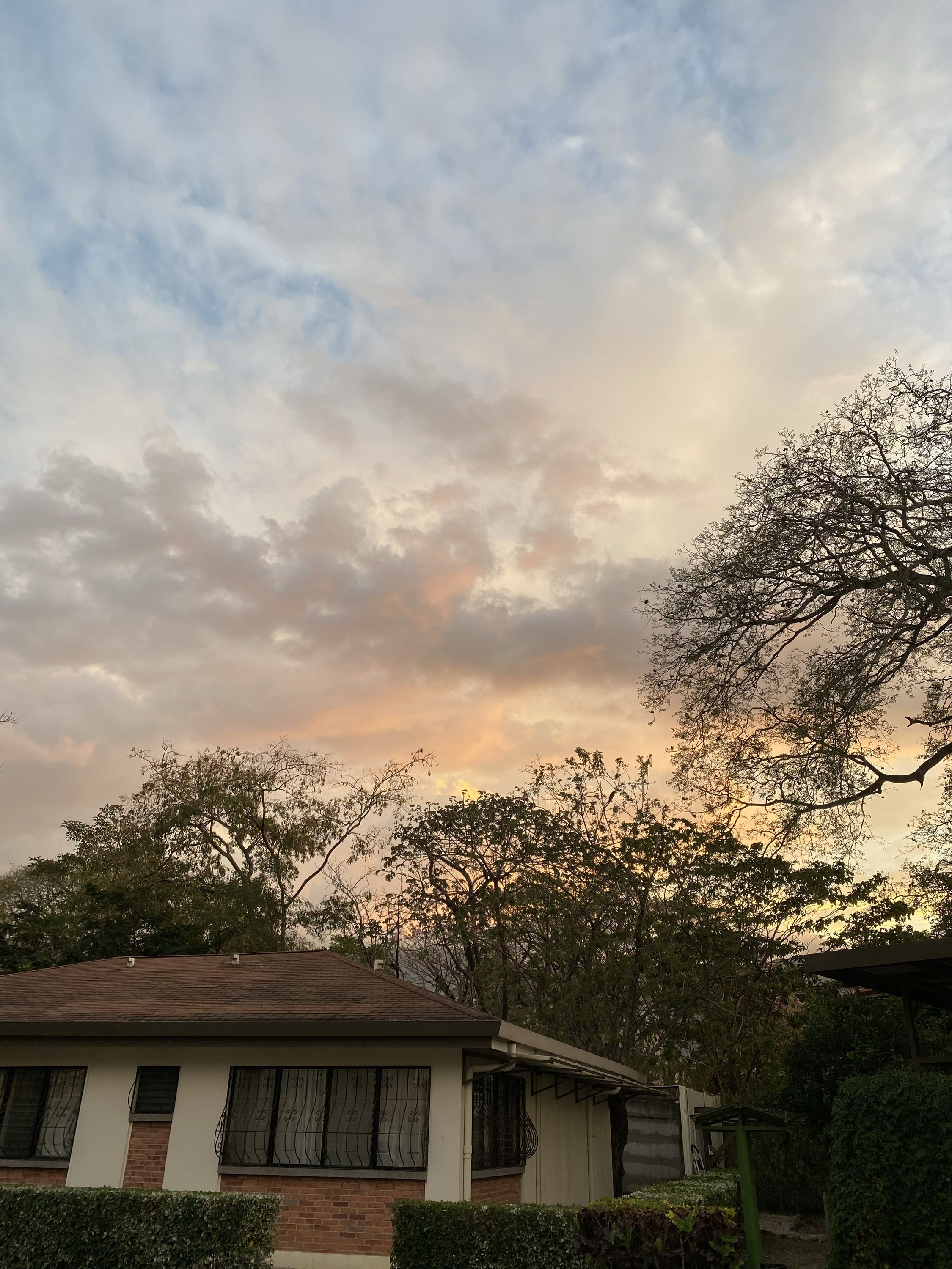 Campuslife #week26 - UWC Costa Rica