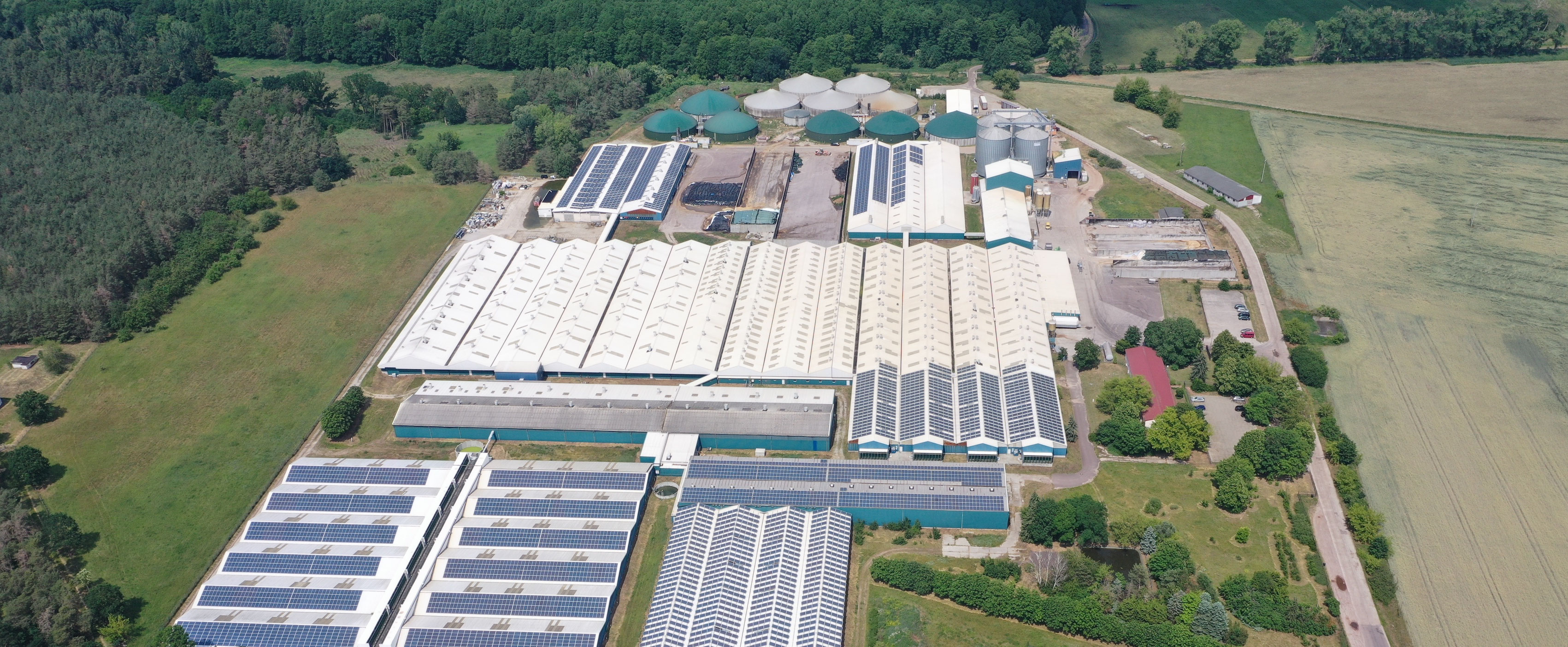 LFD-Holding: Neues Konzept mit weniger Schweinen und mehr Energie ...