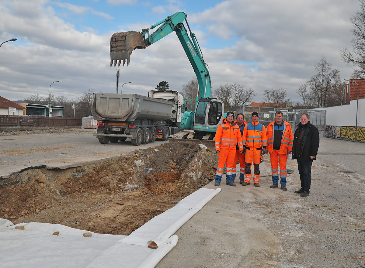 "Schwammstadtbau": Bäume werden 100 Jahre und mehr - Horner Internet ...
