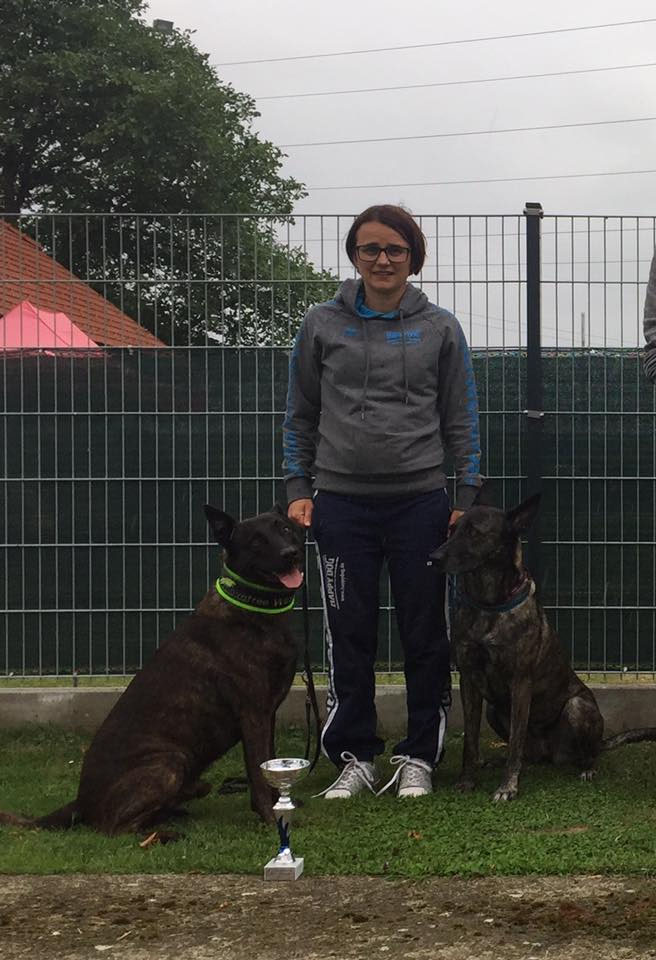 48. Traunsteinturnier 2017 - Hollandse Herder of Dark Doom