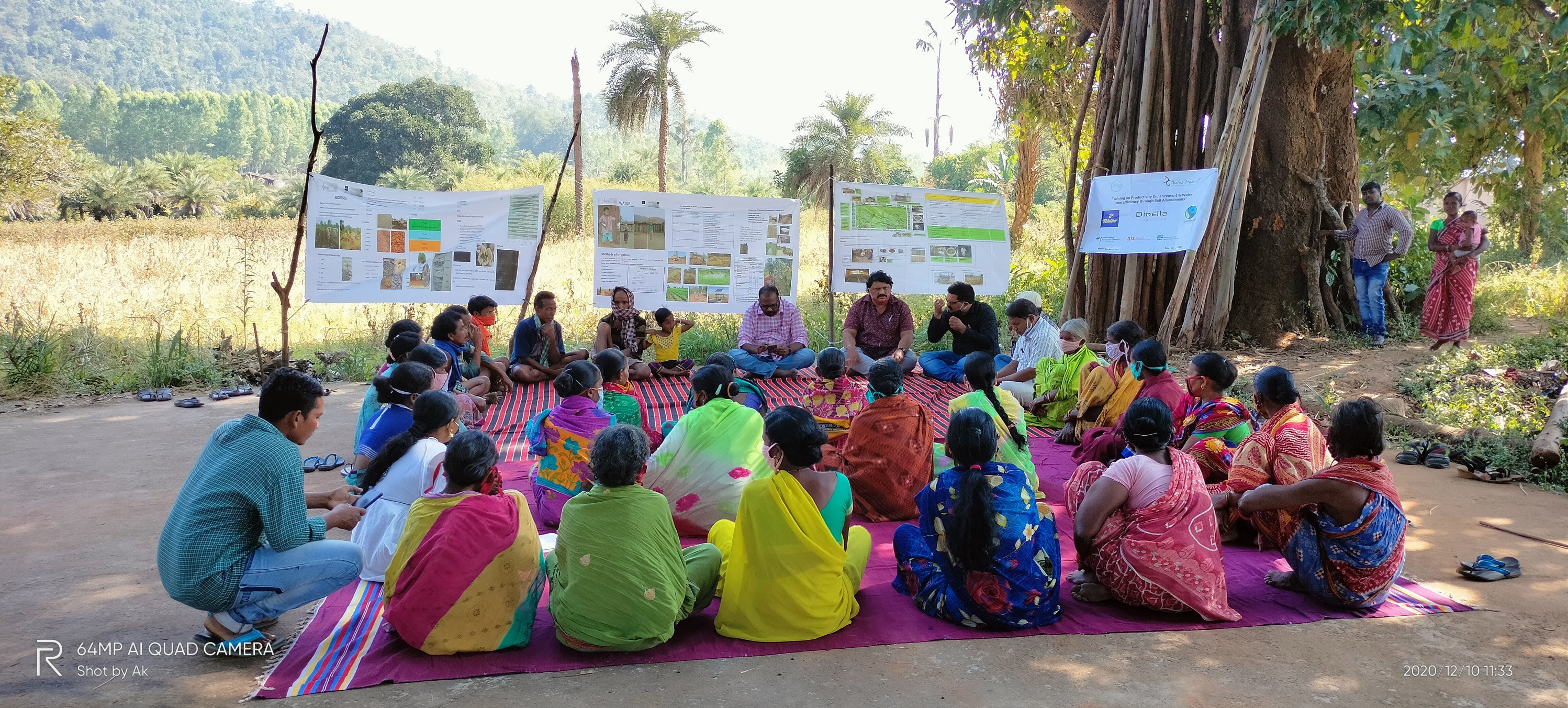 Organic cotton project with thriving prospects - Dibella