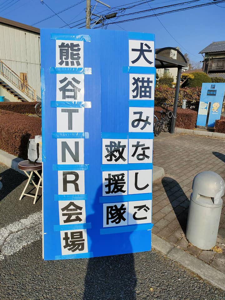 NPOみなしご救援隊の一斉TNRがありました。 - COCOレンジャー ホームページはこちら