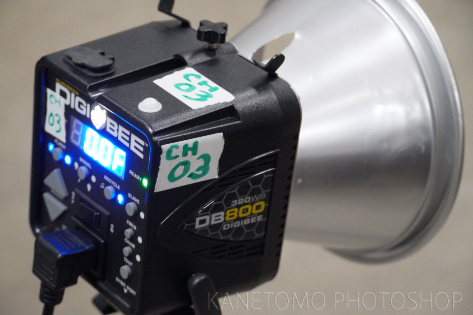 DB800発光不良の怪 - 金友写真店