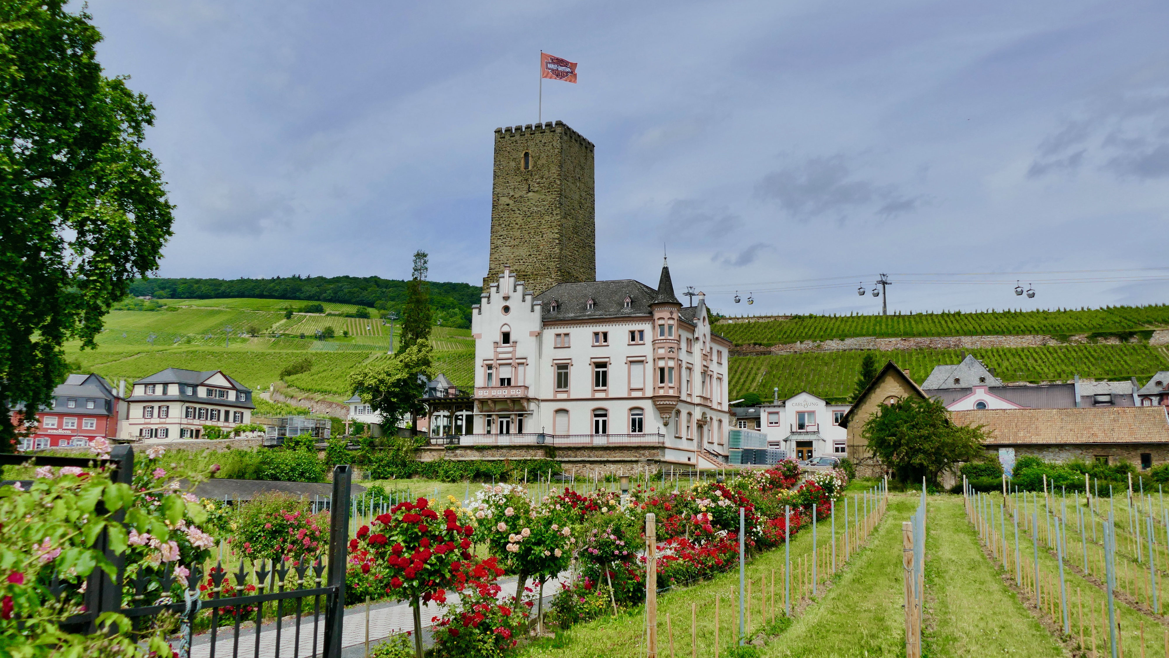 Rüdesheim am Rhein - Wunderschön