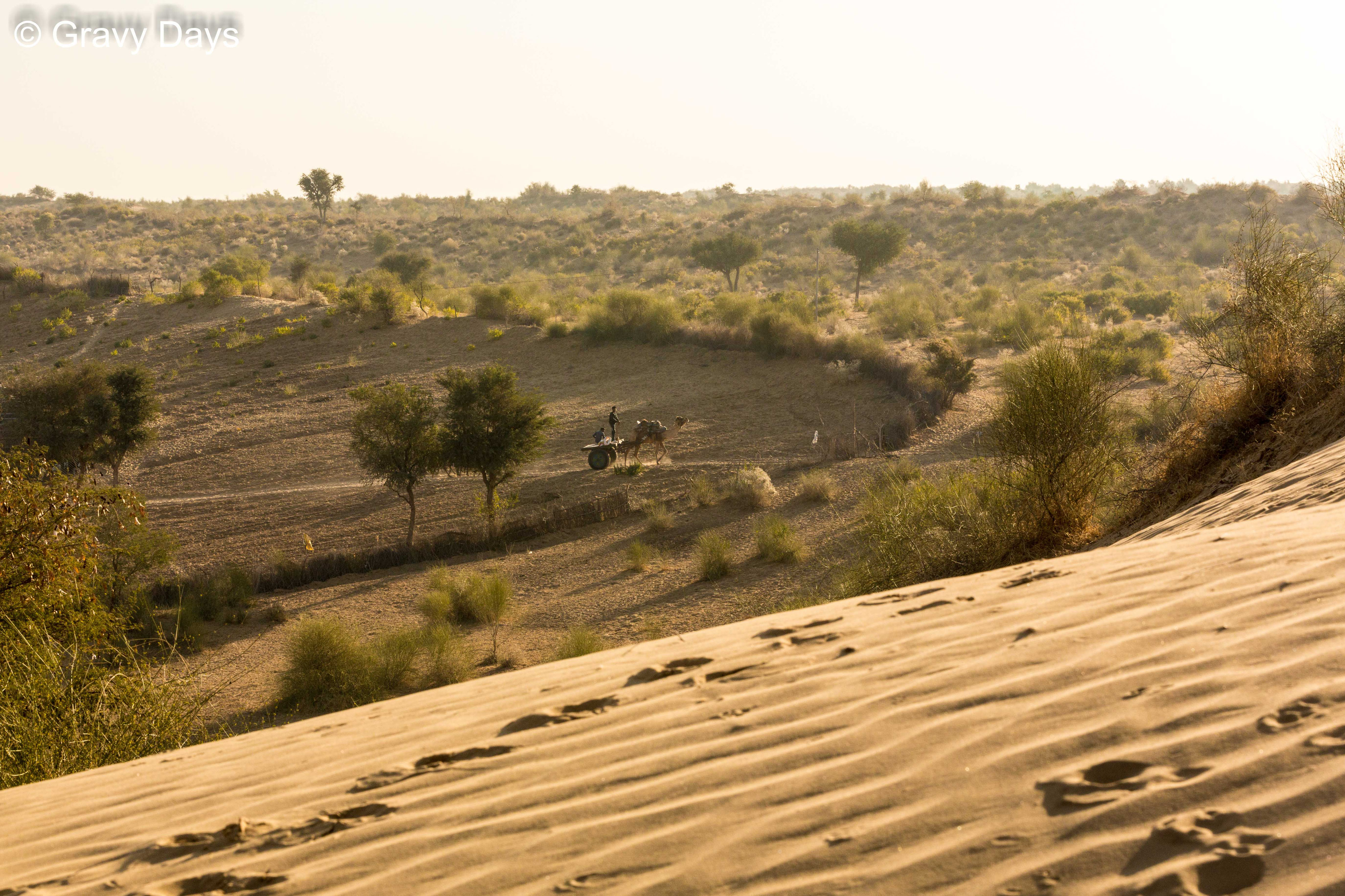 The Thar Desert, India - Gravy Days Fine Art Photography