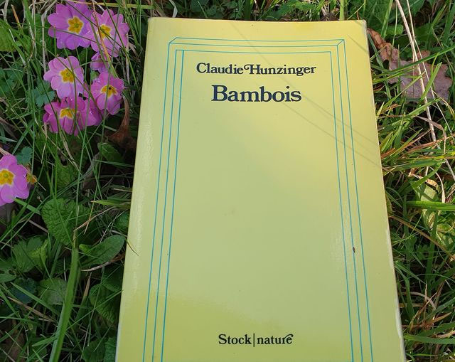 Bambois - Site de bibliogite