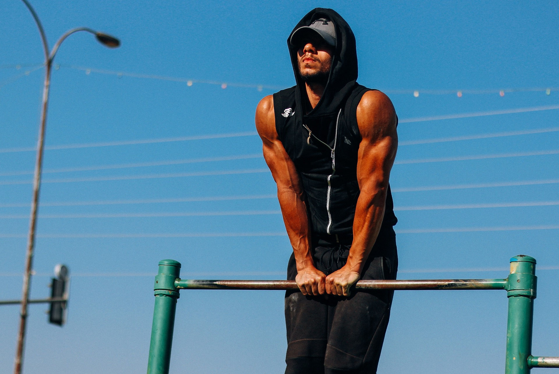 Get Ripped and Roar with the Full Body Transformation Program ...