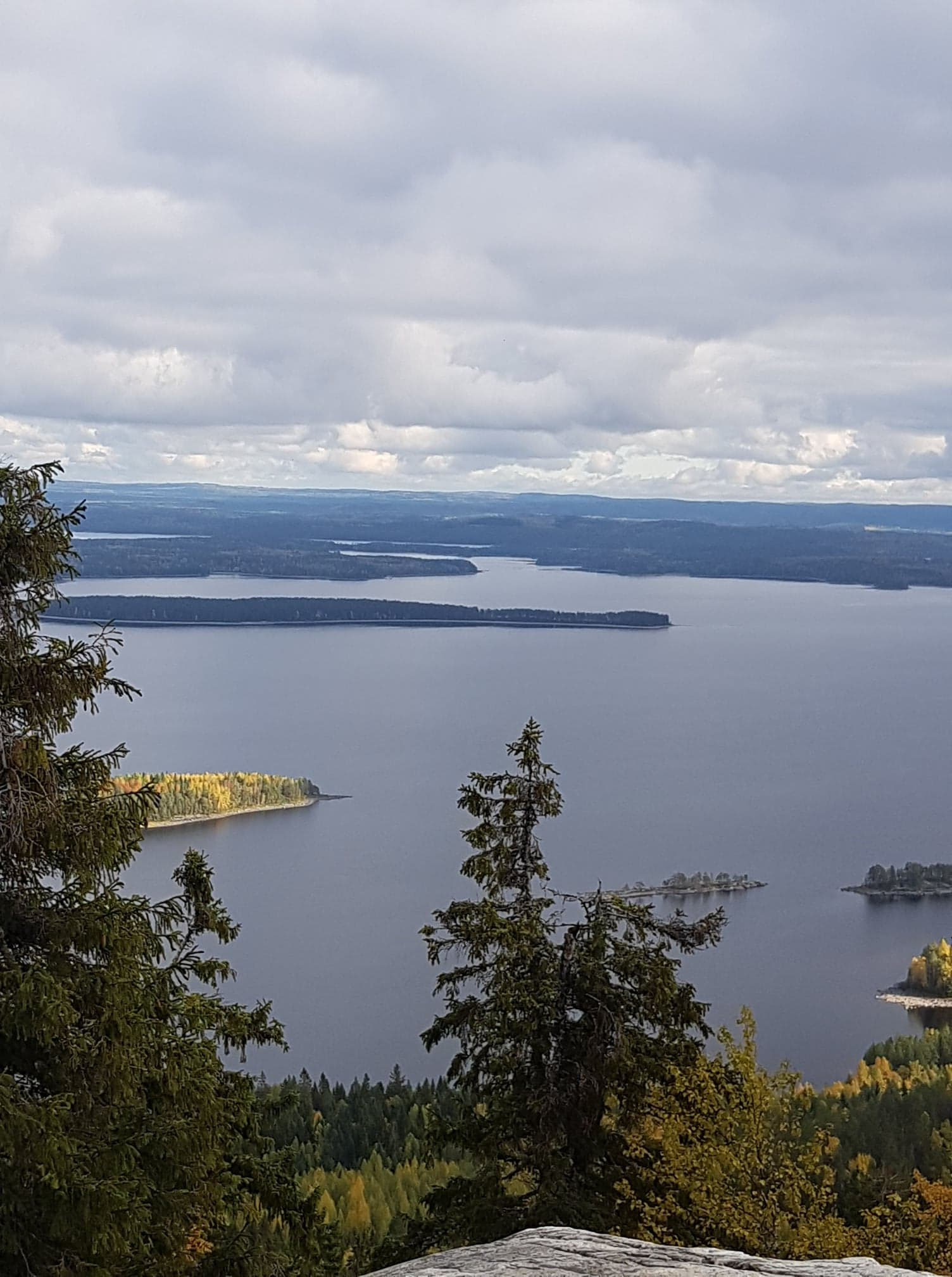 Koli National Park - Site de erasmusinfinland
