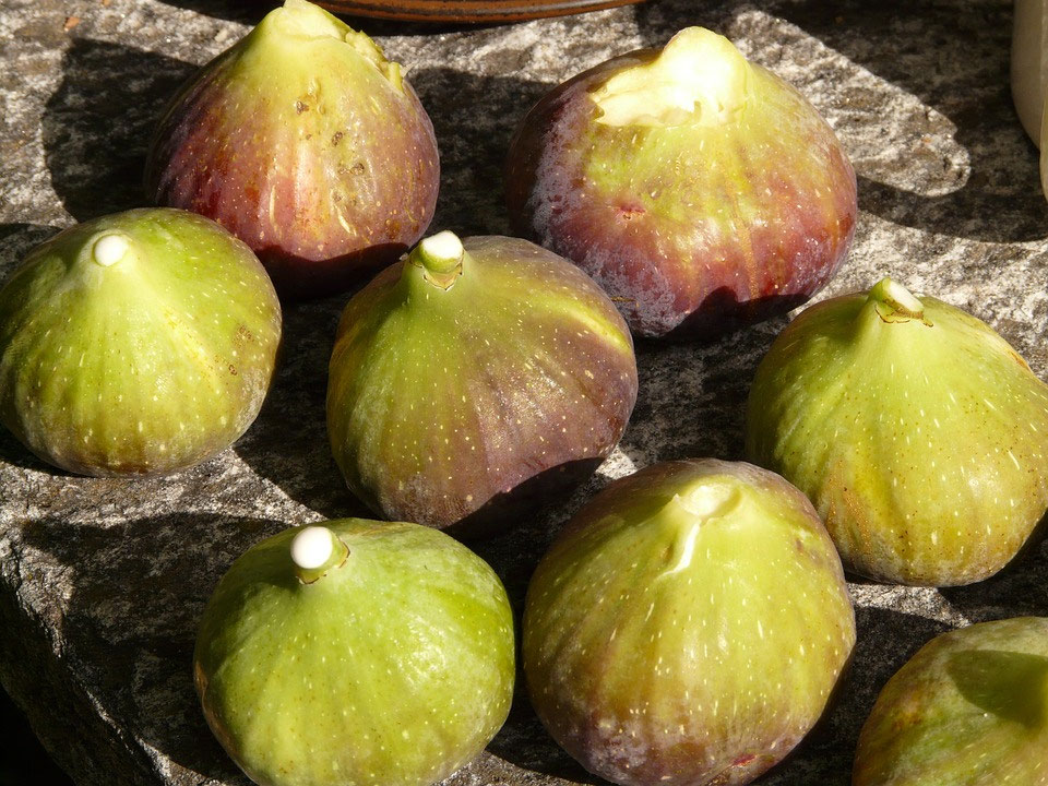 Wunderschne Wann Ist Feigenzeit Bilder