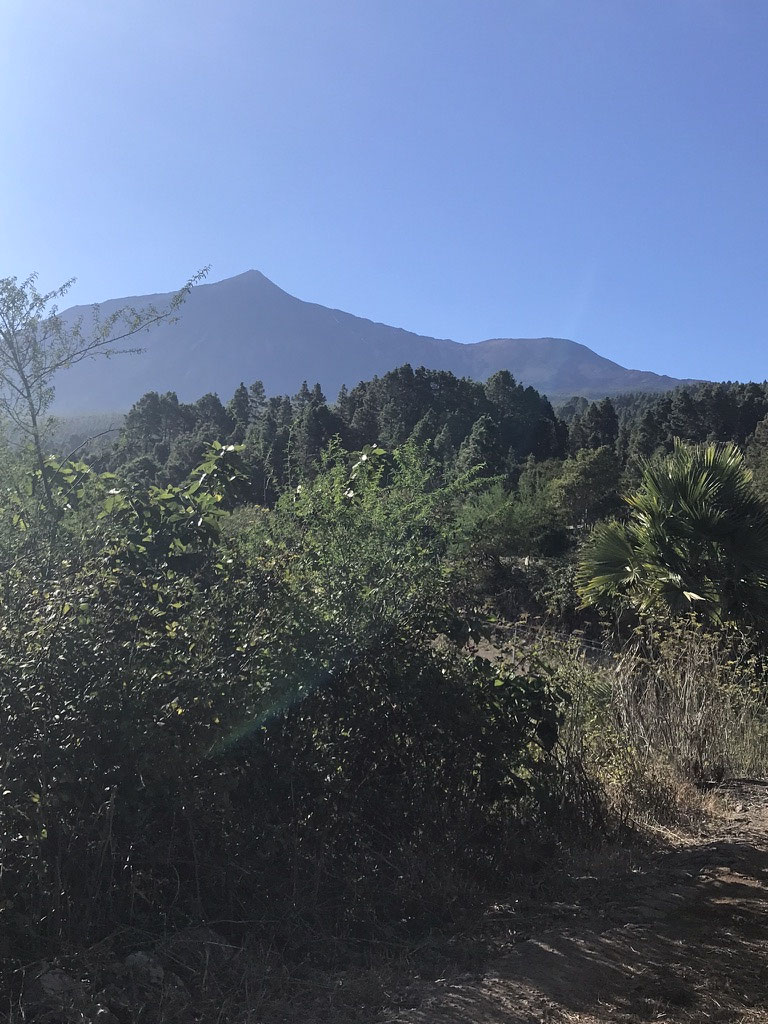 Teneriffa, die schönste Insel der Welt - Casa-Madera Ferienhaus buchen