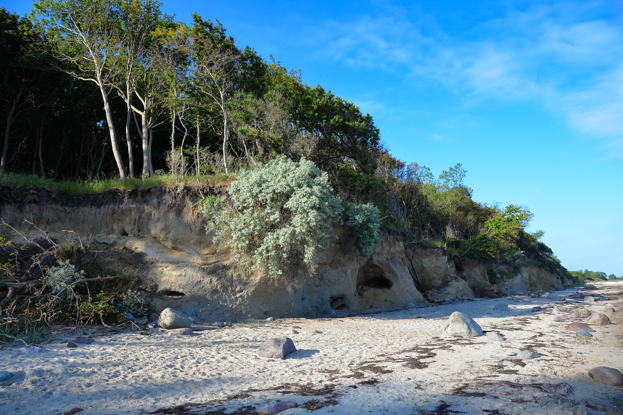 Familie - fotodesign-rauths.jimdo