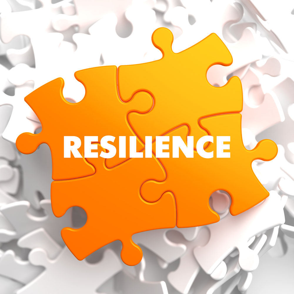 Resilience - 1ExtraordinaryLife.com