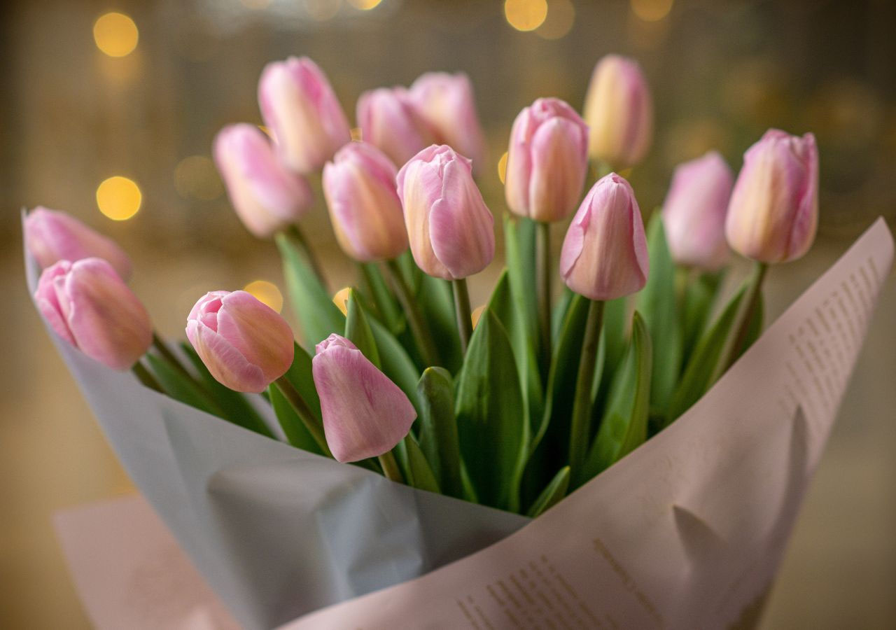 Dankbarkeit - Damaris Hoppler - Coaching & Training