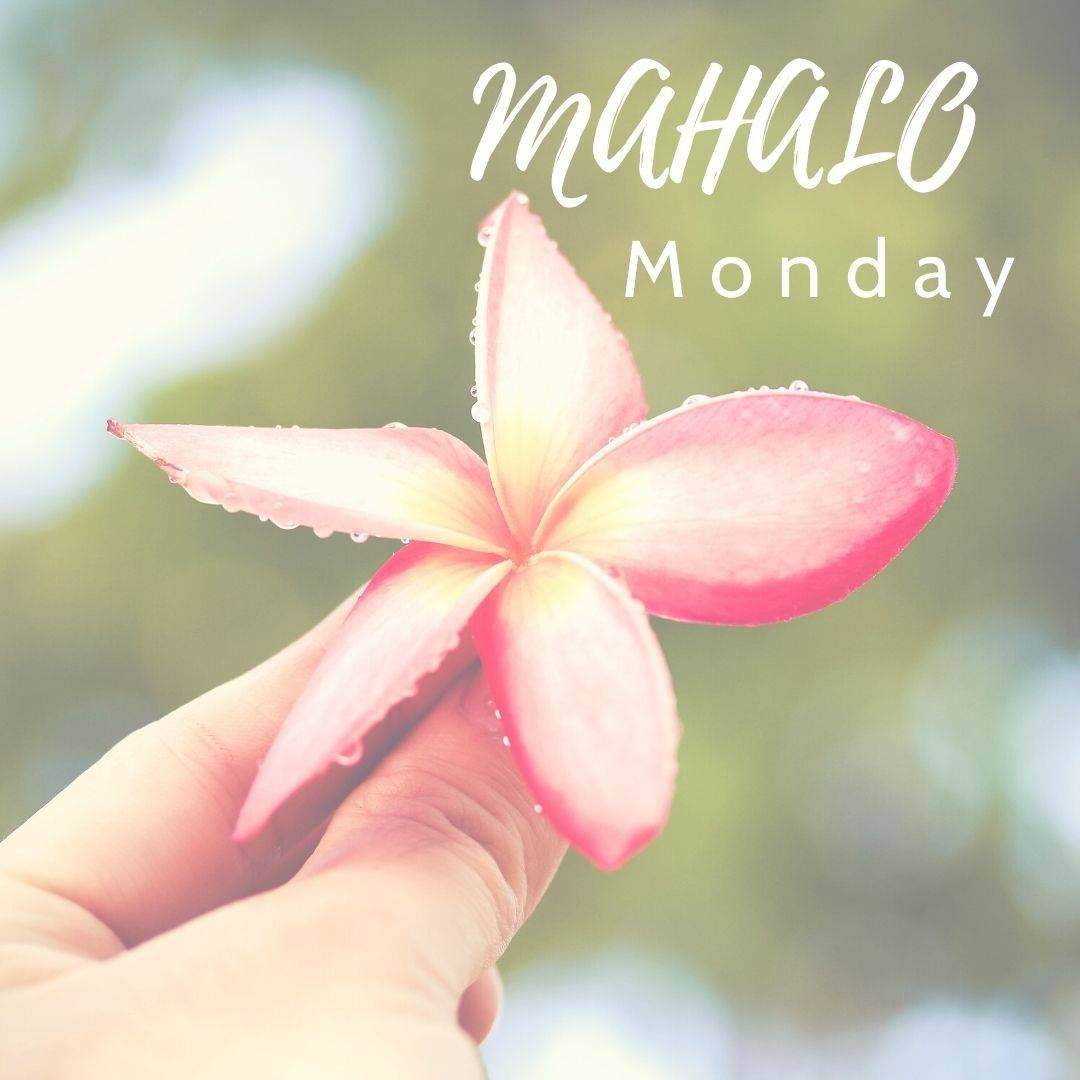 Mahalo Monday - Damaris Hoppler - Coaching & Training