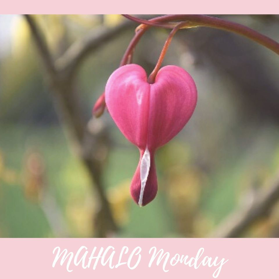 Es ist wieder... MAHALO MONDAY - Damaris Hoppler - Coaching & Training
