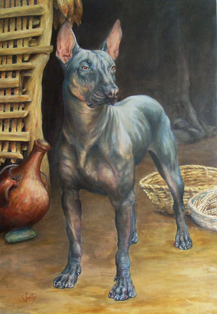 El Xoloitzcuintle, una inspiración para el arte prehispánico | Xolos ...