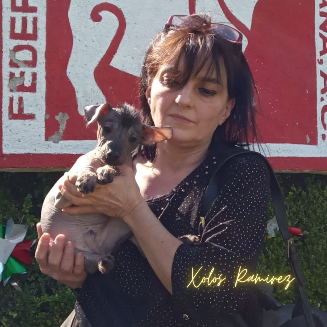 Explorando las Raíces: Centli, Papalotl y Tonalli, Orgullo del Criadero ...