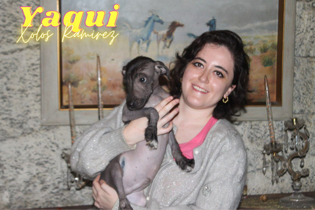 Un Encuentro Inolvidable: Alexandra Posando con los Cachorros de ...