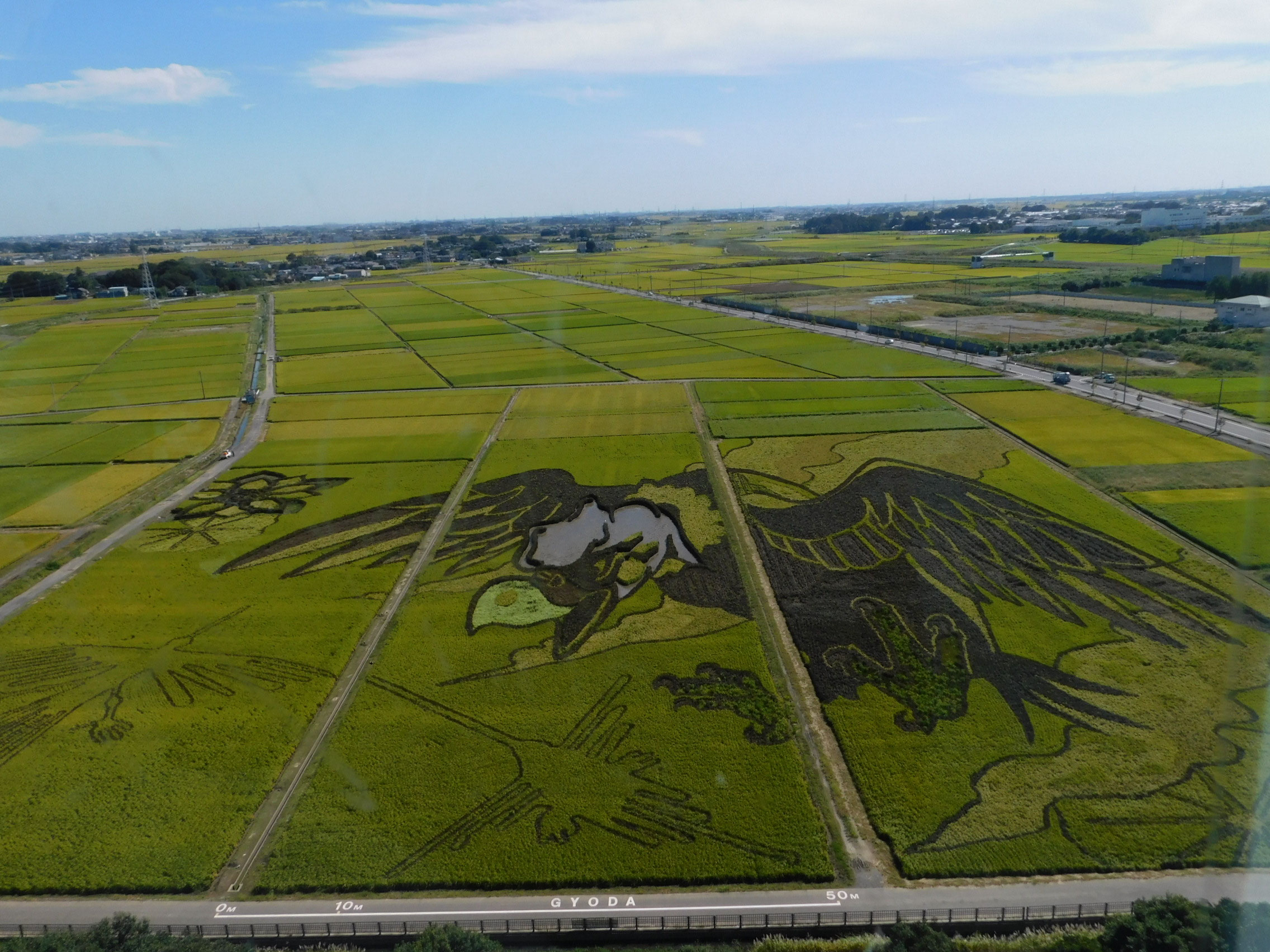 Rice Field Art - HERITAGE TOWN GYODA
