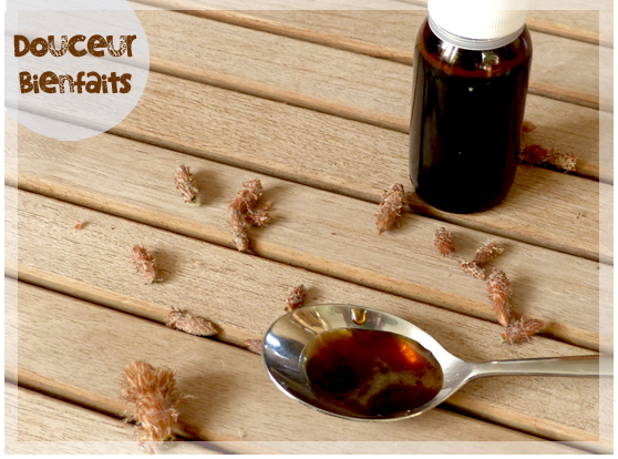 Fabriquer son sirop de bourgeons de pin pour l’hiver - Site de vert ...