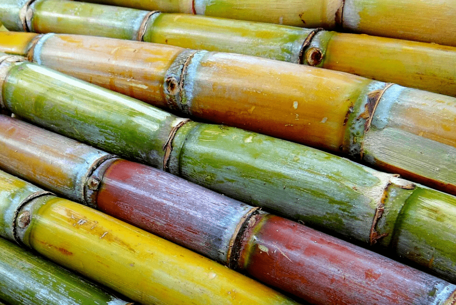 LE RHUM - rhum arrangé corsaire