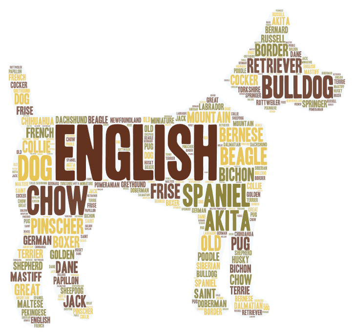 Dogs and breeds vocabulary - Ejercicios inglés online