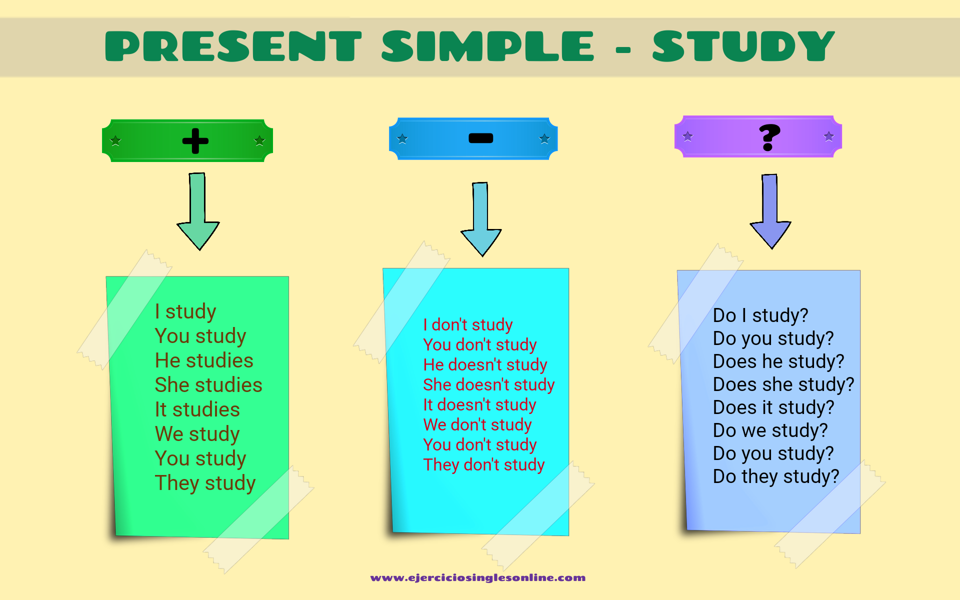 Presente simple verbo STUDY en inglés - Ejercicios inglés online