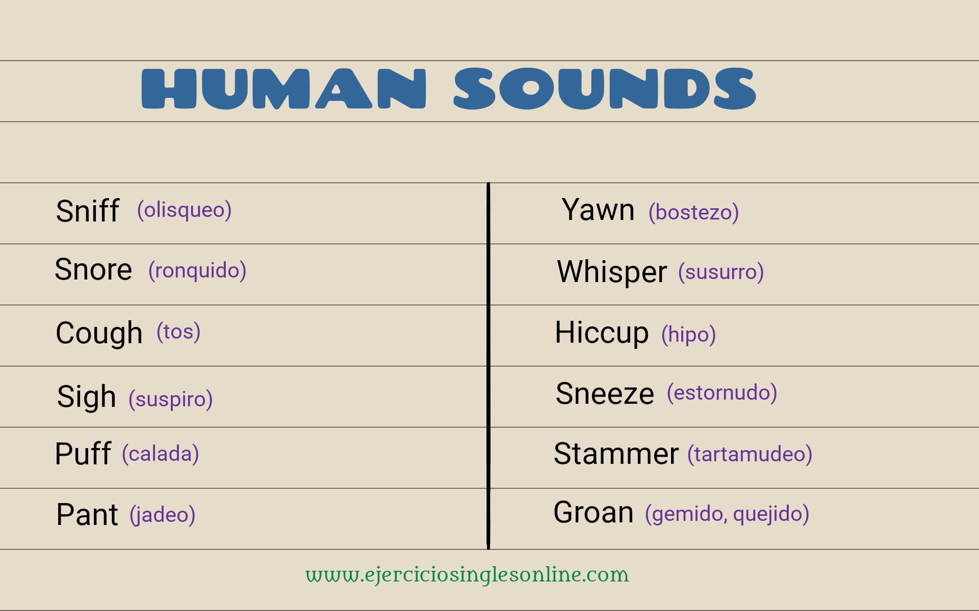 Human sounds en inglés - Ejercicios inglés online