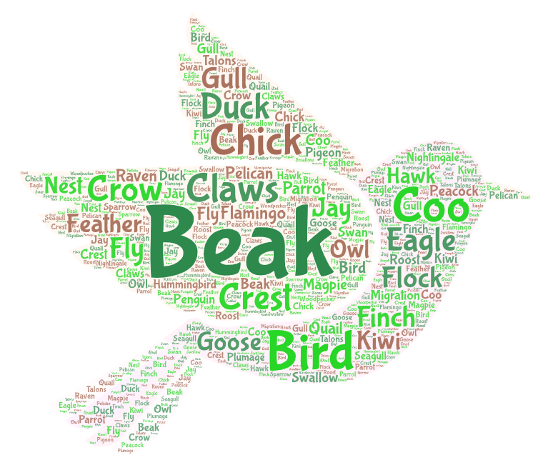 Birds vocabulary - Ejercicios inglés online
