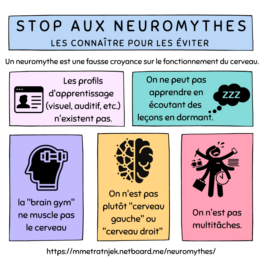 Les "styles d'apprentissage" : une vidéo pour comprendre pourquoi il s ...