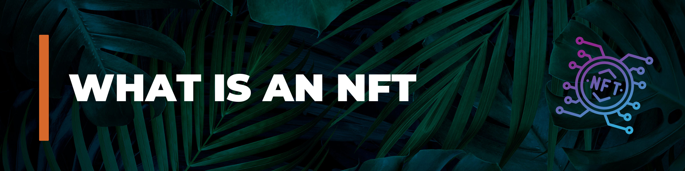 How can you create and sell NFTs yourself? - overclocked-designs Webseite!