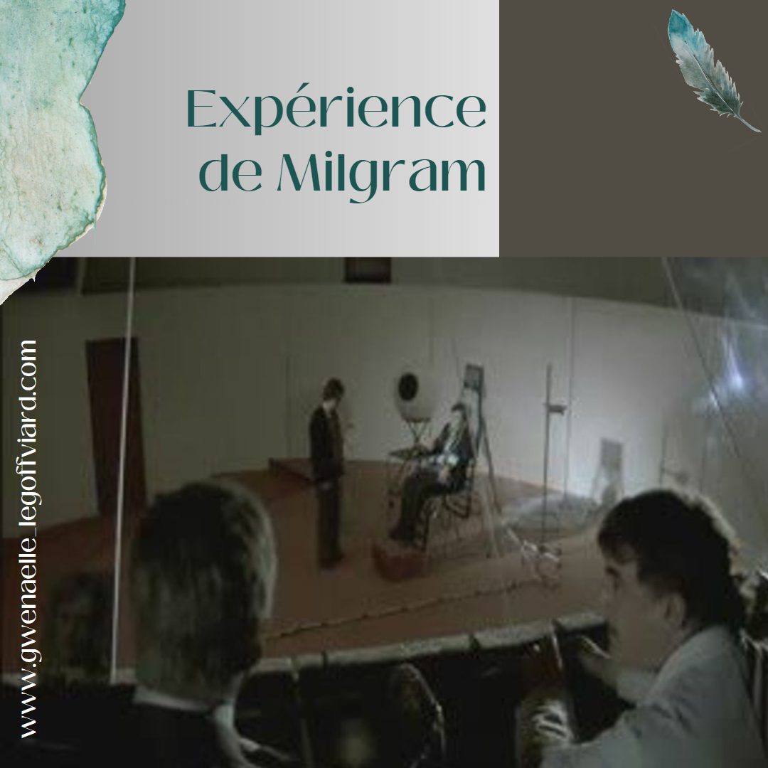 Expérience de Milgram - Gwenaëlle Le Goff Viard | Site officiel de l ...