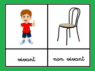 Vivant ou non vivant ? - La Classe de Barnabé