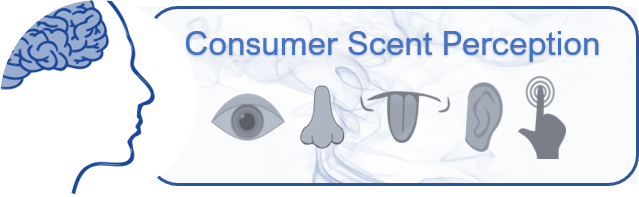 Consumer Scent Perception - MULTISENSING+