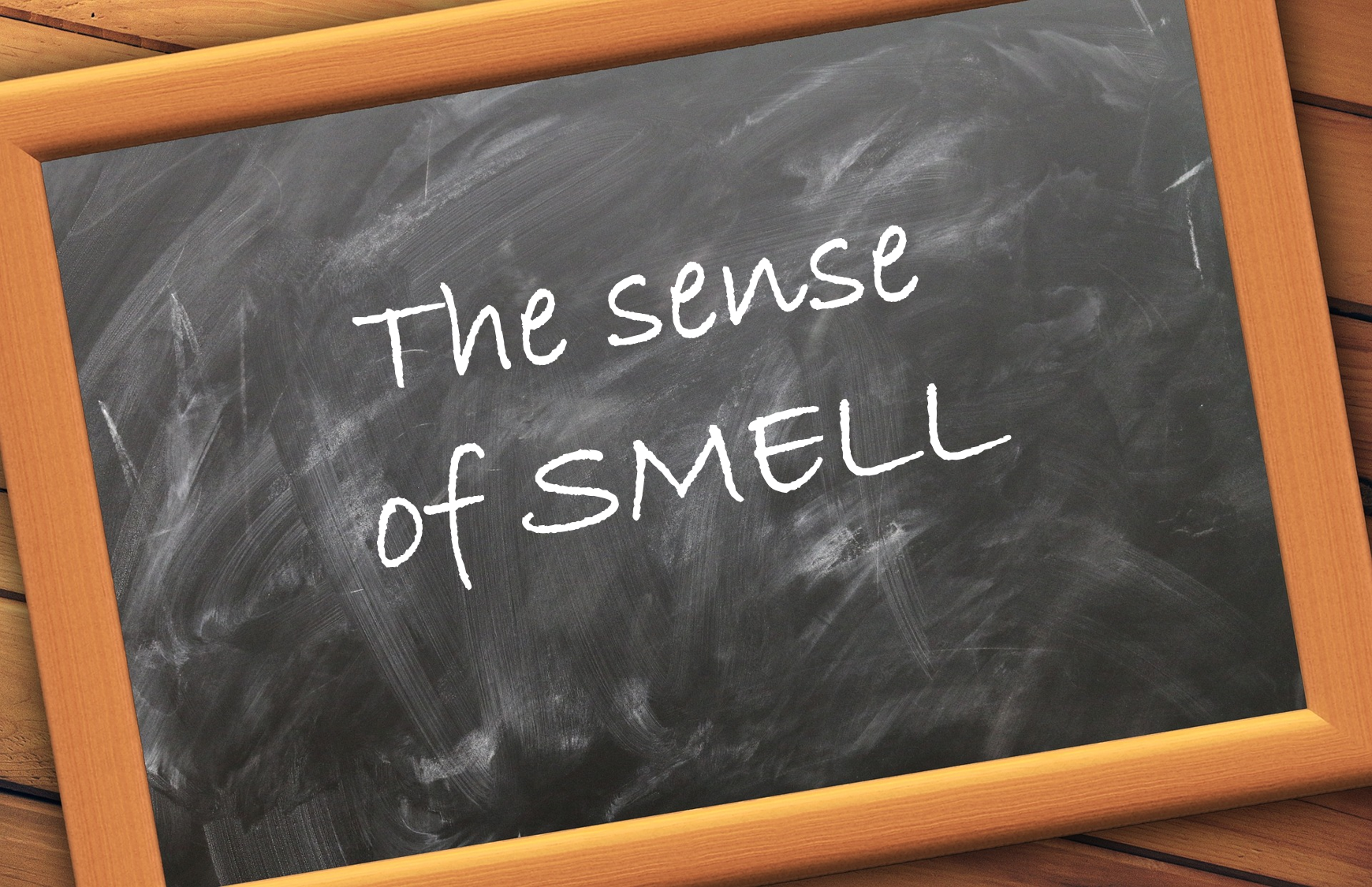 The sense of smell - MULTISENSING+