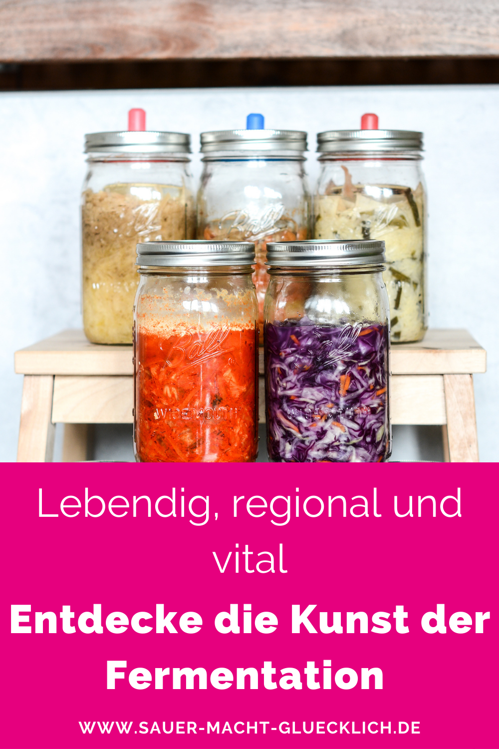 Die Kraft der Fermentation: Wie vitale, regionale und lebendige ...