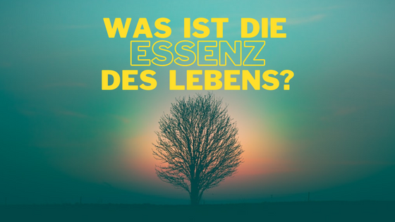 Was ist die Essenz des Lebens? - The Soulnomad
